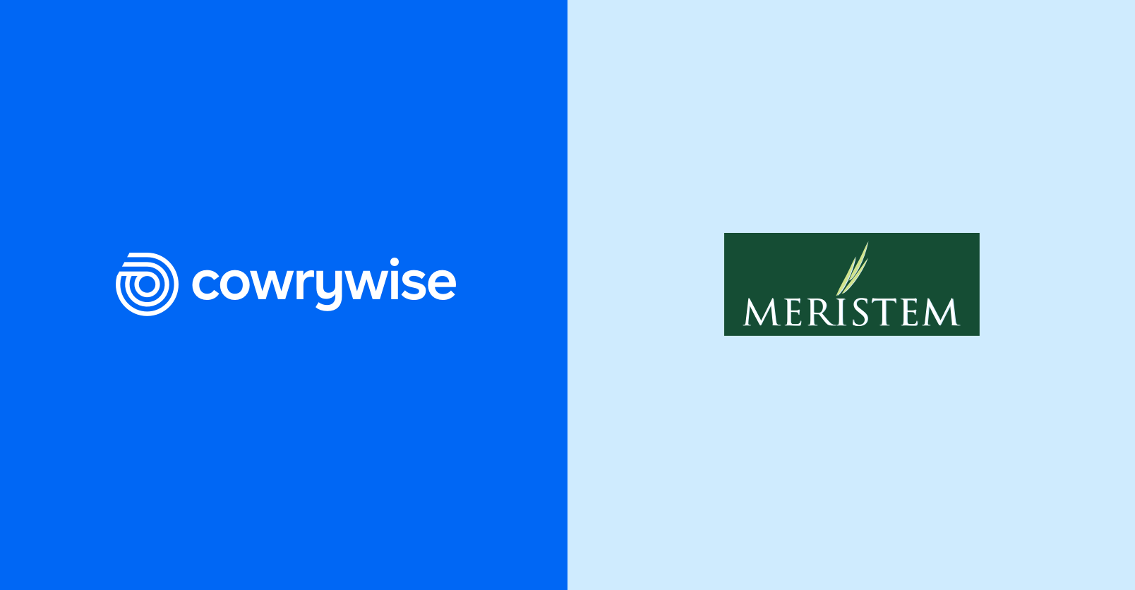 Cowrywise Partners Meristem On Mutual Funds - Cowrywise Blog