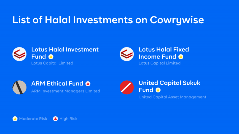 Introducing Halal Accounts: Build Wealth According to Islamic Values