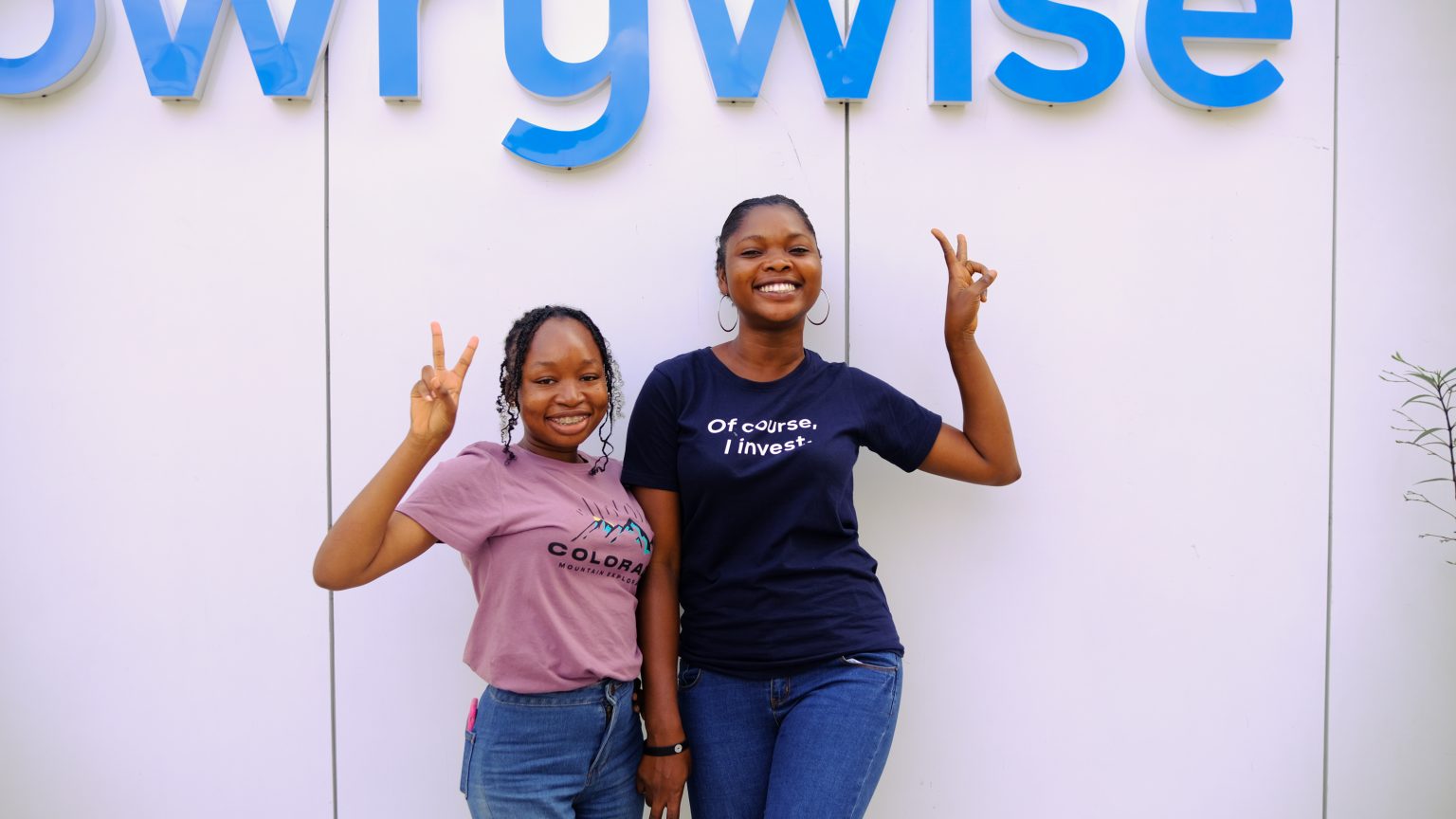 The Cowrywise Ambassador Internship Program: The Journey So Far